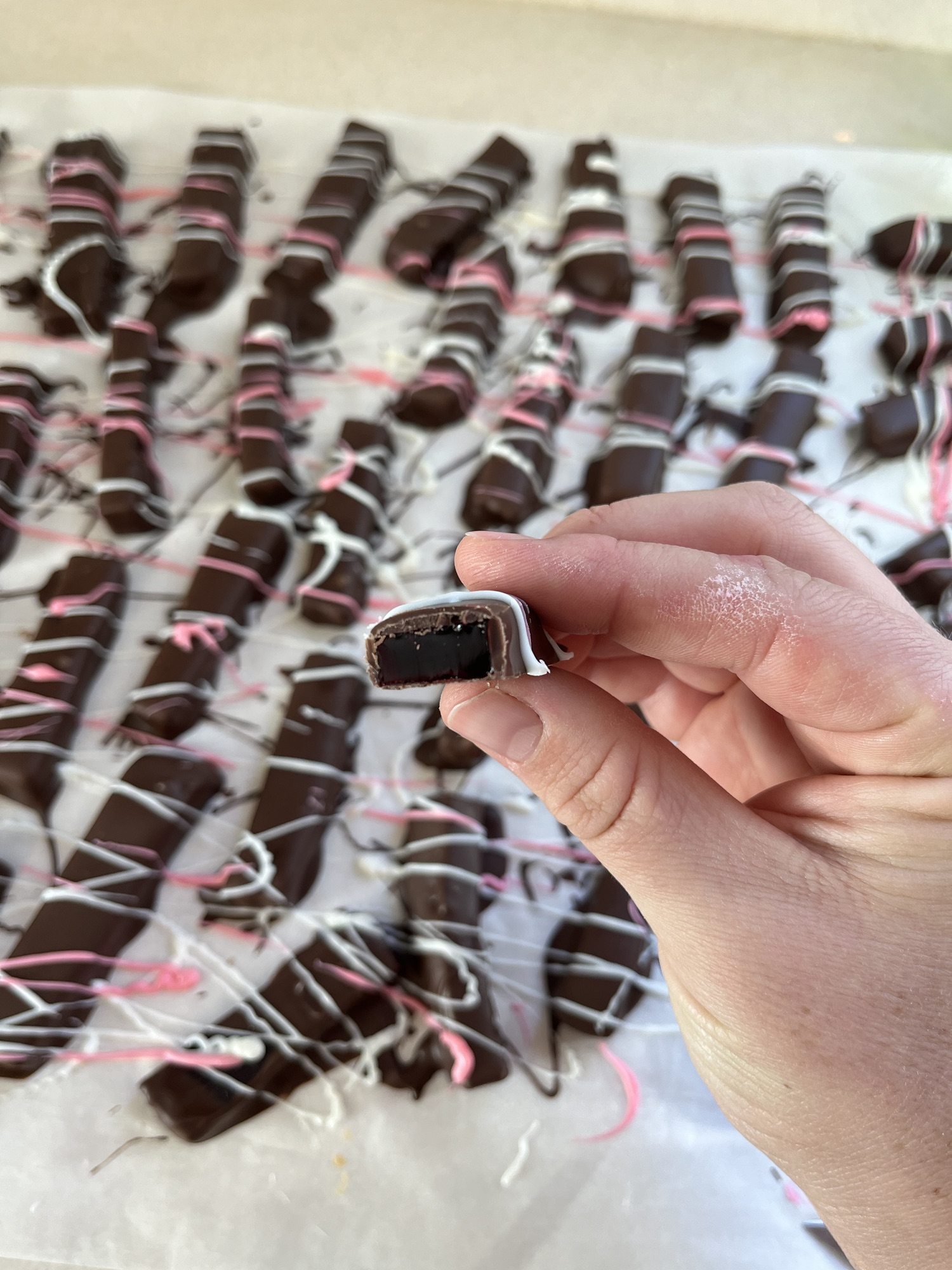 Chocolate Raspberry Sticks – Yummy Woodberries